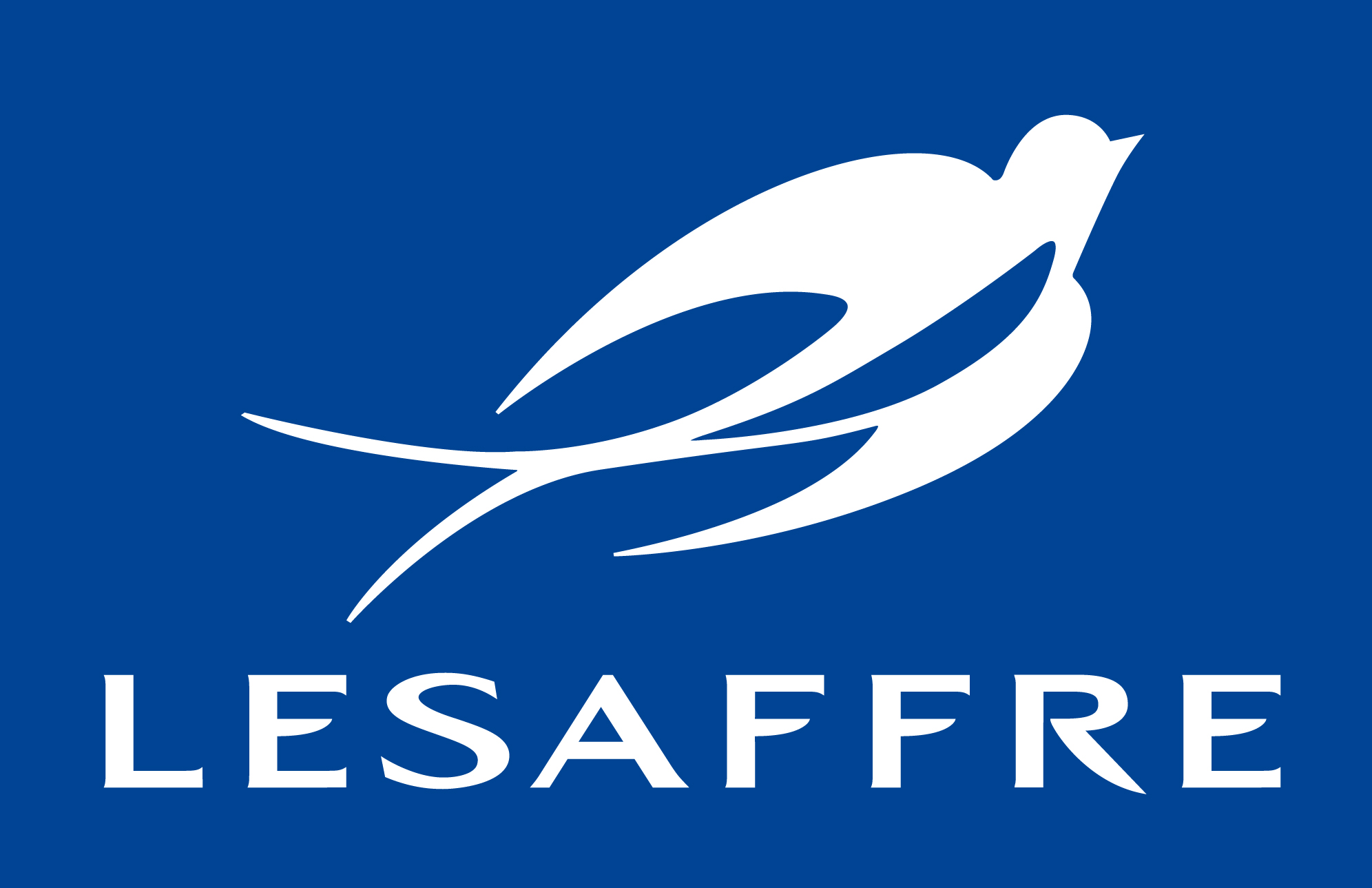 Agence Bigfoot : l'agence conseil en communication BtoB